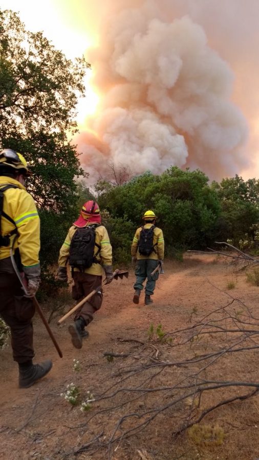 Quilpue: Con baja actividad se encuentra el incendio forestal “Los ...